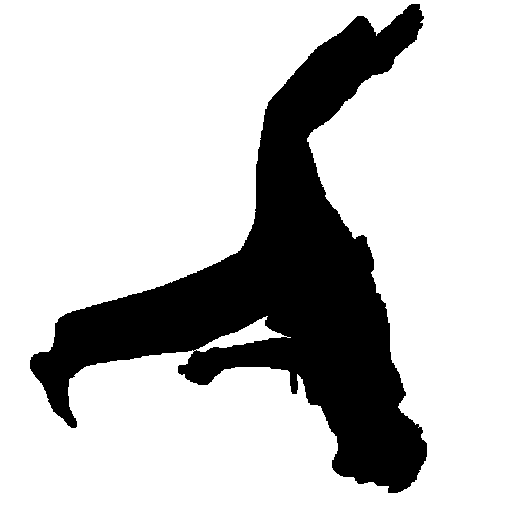 flash kick – Tricking Argentina